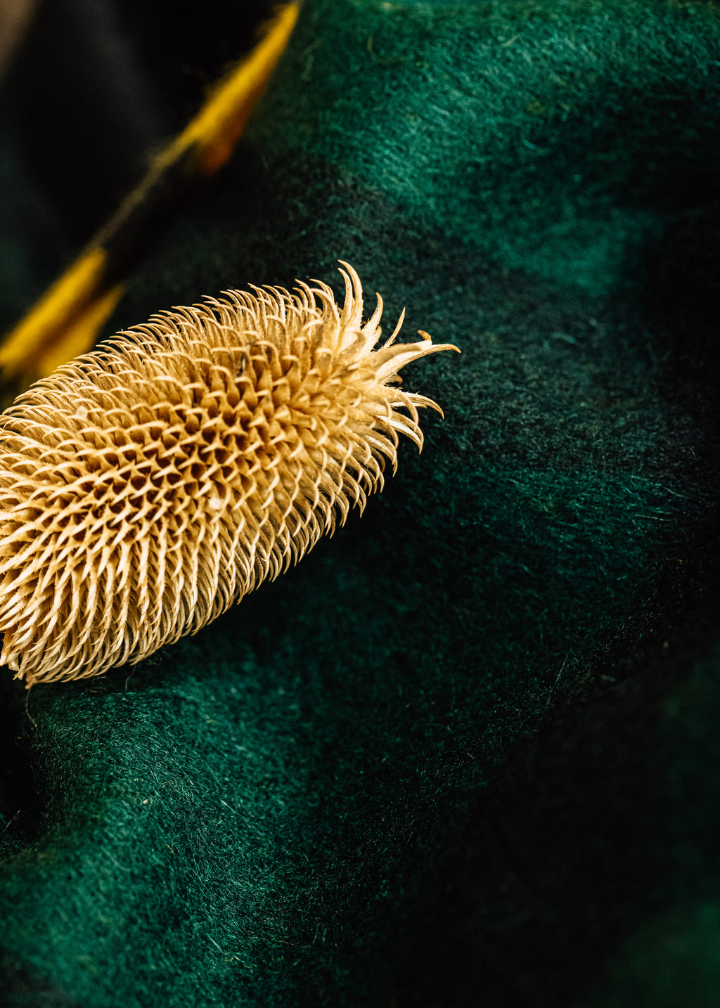 Joshua's Journal by Joshua Ellis luxury Cashmere manufacturer & retailer